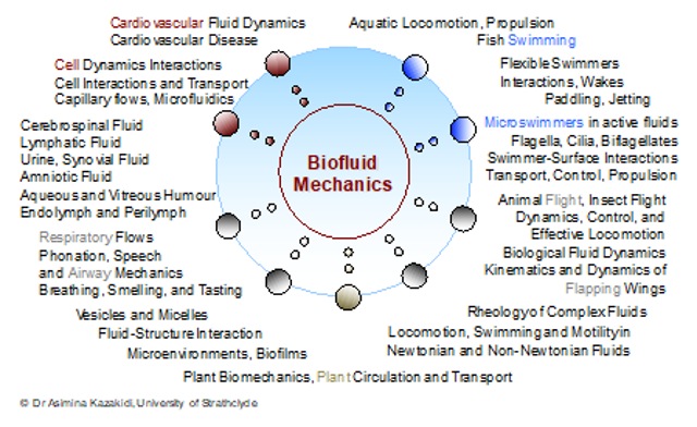 From a flying insect to robotics: Here’s what you should know about ...