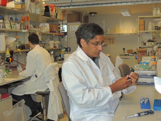 Indo-Canadian venture radicalises drug research | World News