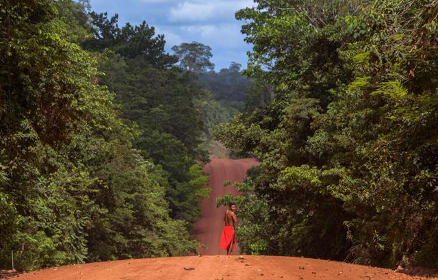 Inside Amazon rainforest: How a tribe is readying to take on mining ...