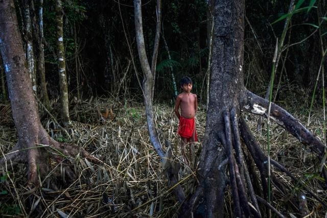 Inside Amazon rainforest: How a tribe is readying to take on mining ...