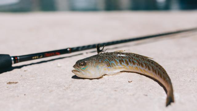 London’s Natural History Museum showcases nature’s nastiest beasts ...