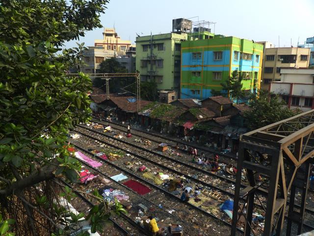 South Kolkata neighbourhood in search of a Pied Piper | Kolkata