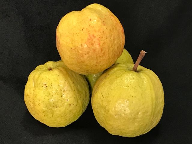 Lucknow guava thriving in Arunanchal Pradesh | Hindustan Times