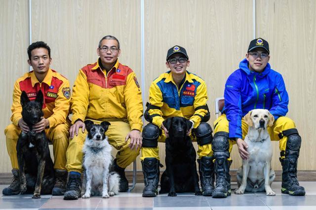 Labrador rescues survivor in Taiwan quake wreckage, hailed as hero on ...