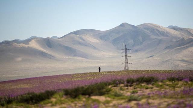 Planning a trip to Chile? Beware, light pollution is threatening its ...