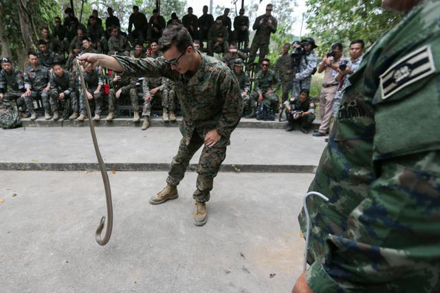 Surviving in jungle: Marines drink cobra blood, eat scorpions in US ...