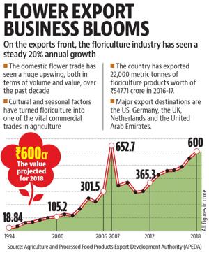 India’s floriculture industry sees 20% annual growth in exports ...