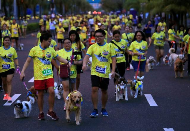 From Chihuahuas to Great Danes: Thousands of pet dogs run for a cause ...