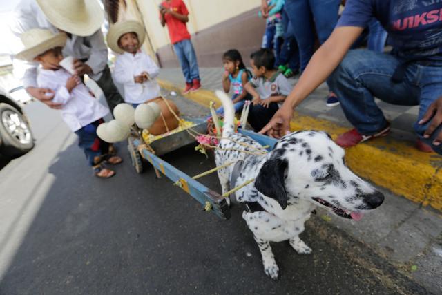 Dog owners bring their pets to be healed by St Lazarus at this festival ...