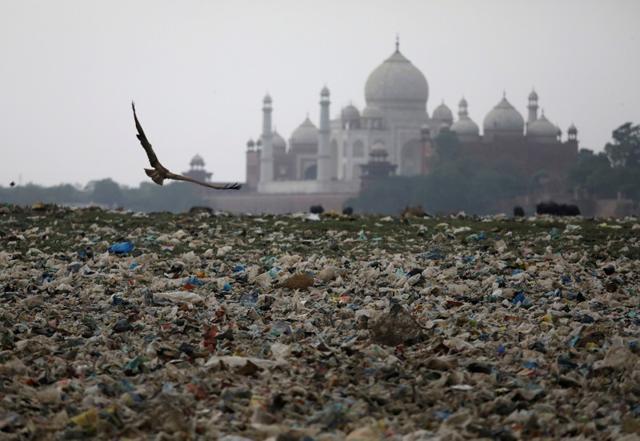 Pollution, insect excrement turning Taj Mahal yellow and green | Latest ...