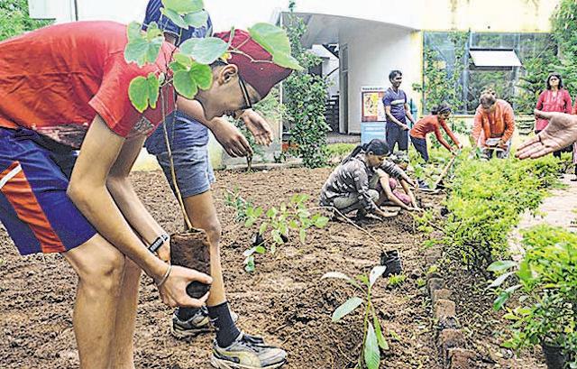 Pune residents join the ‘Go green’ campaign, plant trees across ...