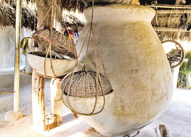 Travel to Dudhwa: The laughing tree and other such stories | Hindustan ...