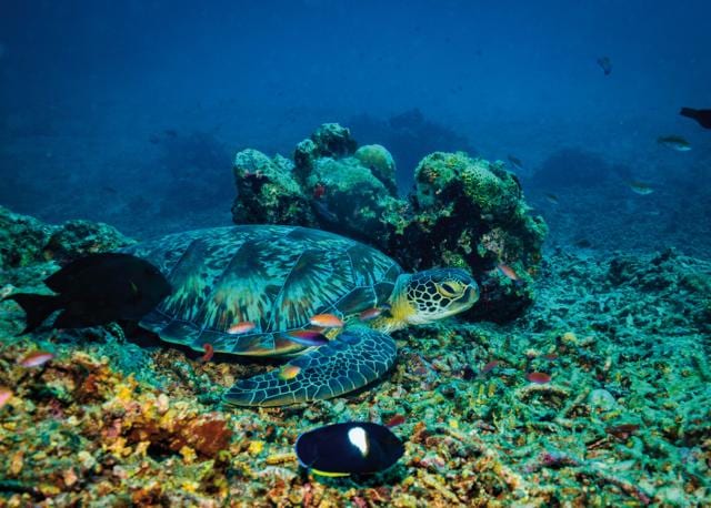 Travel: The great escape to the ‘Gilis’ | Hindustan Times