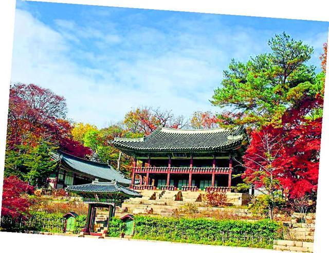 Discover South Korea’s food and culture in this travelogue around Seoul ...