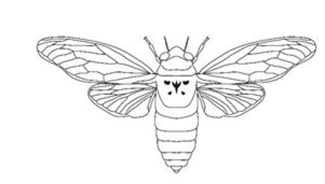 CBSE Class 10 Maths: What we should really know about prime numbers ...