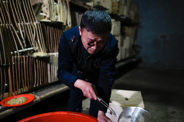 Digest this: Meet the Chinese farmer who breeds bugs for the table ...