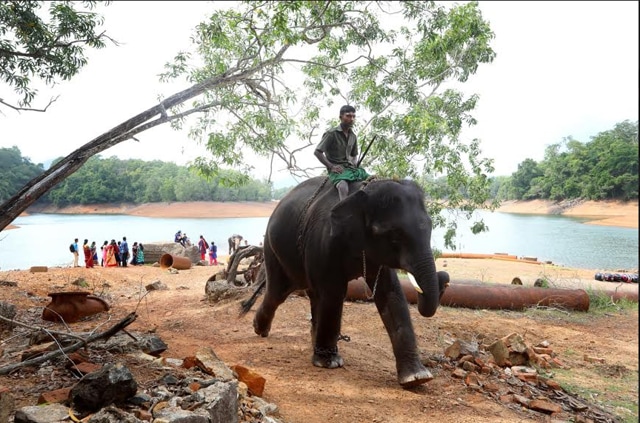 India’s first elephant rehabilitation centre in the works at Kerala’s ...