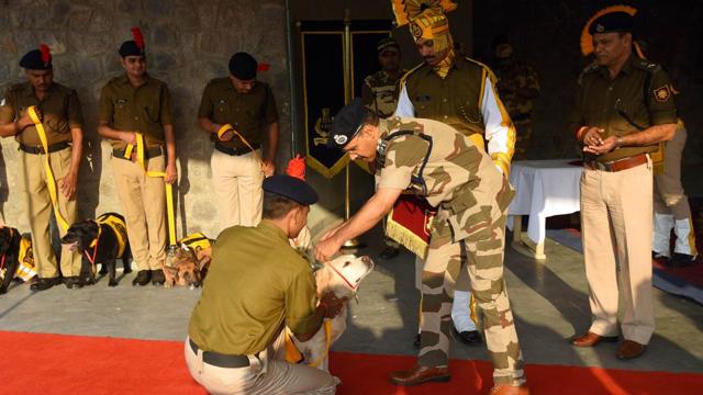 CISF bids adieu to its canine commandos with march past, medals and ...