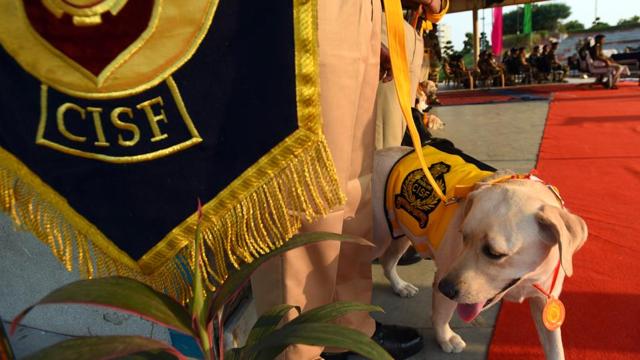 CISF bids adieu to its canine commandos with march past, medals and ...