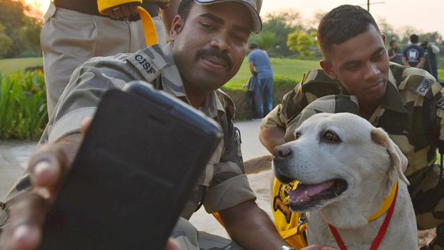 CISF bids adieu to its canine commandos with march past, medals and ...