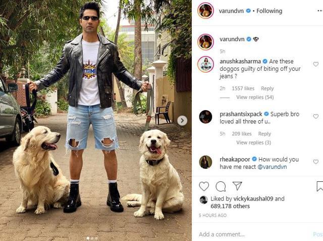 Varun Dhawan poses with dogs in ripped shorts, Anushka Sharma asks did ...