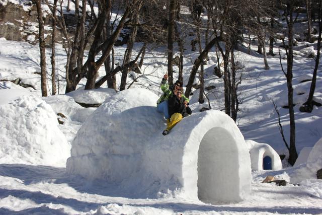 Igloo stay in Himachal Pradesh’s Manali attracts tourists and locals in ...