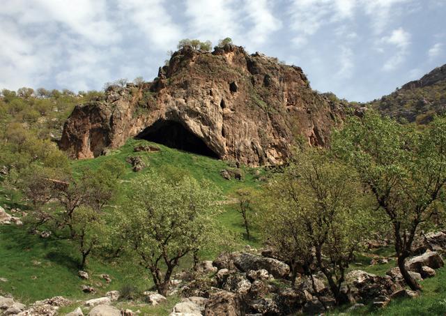 Did Neanderthals bury their dead with flowers? Iraq cave yields new ...