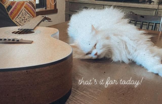 Inside Alia Bhatt’s ‘purrfect’ day with her cat Edward. See pics, video ...