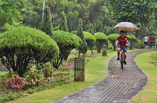 Amid pandemic, Ludhiana falls in love with cycling | Hindustan Times