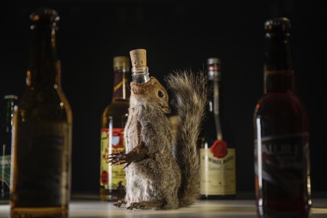 Sweden’s Disgusting Food Museum introduces drink menu which includes ...
