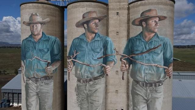Artist in Australia paints huge murals on old grain silos. Pics are ...