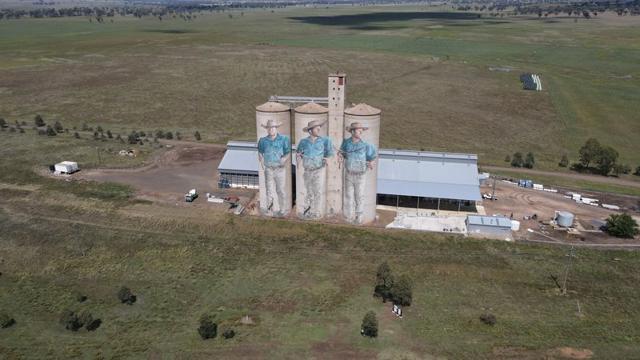 Artist in Australia paints huge murals on old grain silos. Pics are ...