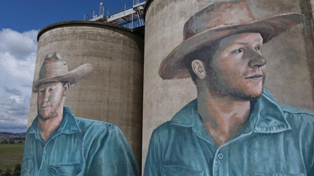 Artist in Australia paints huge murals on old grain silos. Pics are ...
