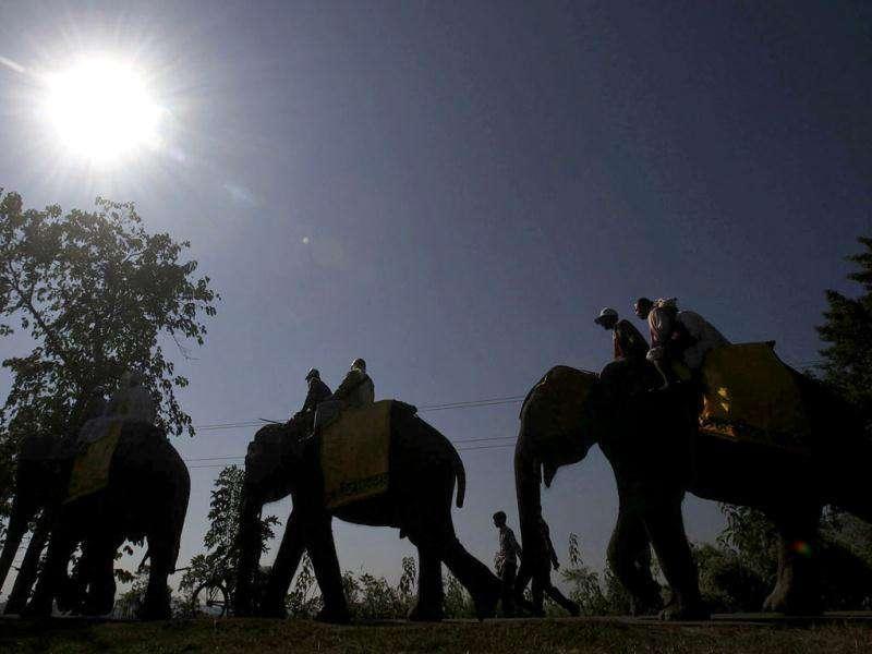 Assam's village of magic now more of a tourist hotspot | Travel