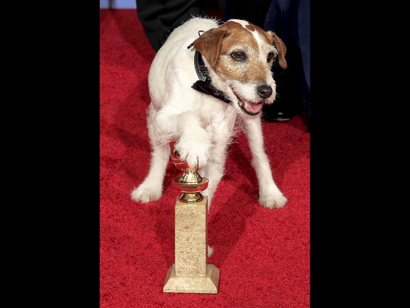 the artist dog oscar