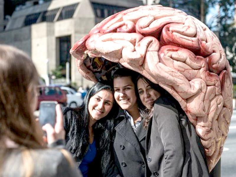 Men and women have the same brains: scientist | Health