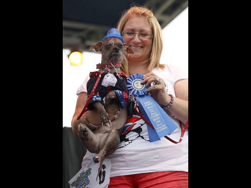 8-year-old Mugly wins World's Ugliest Dog title | Latest News India