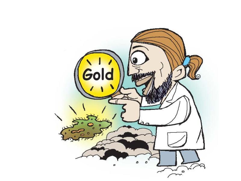 Bacteria that can produce gold | Latest News India