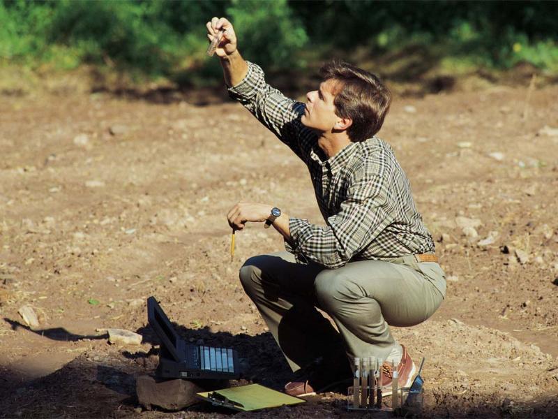 Ground reality - Hindustan Times