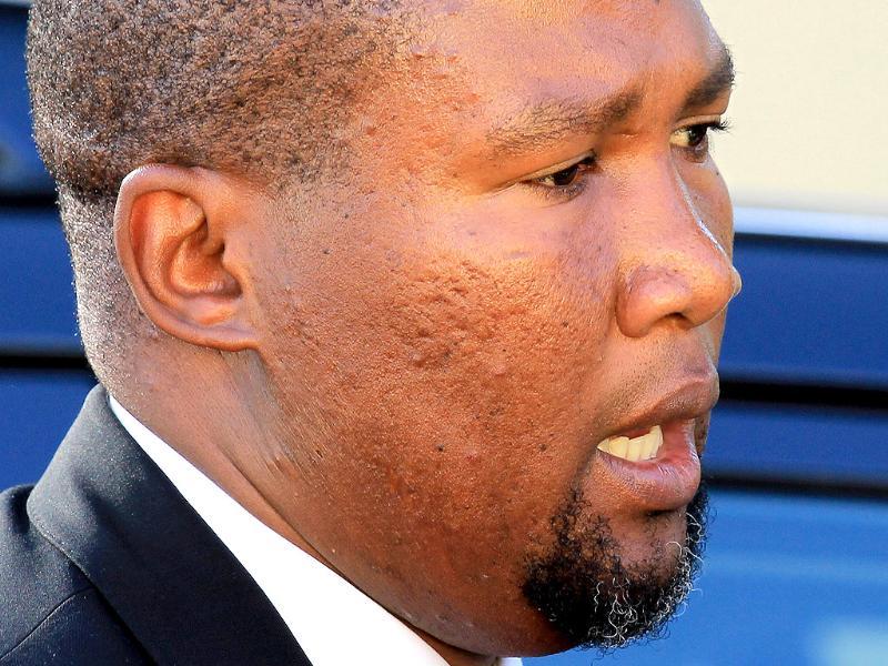 Mandela's grandson Mandla takes up his challenge to serve | World News