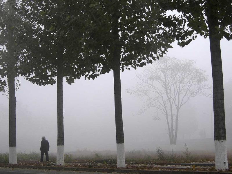 Beware of centipede syndrome | Hindustan Times