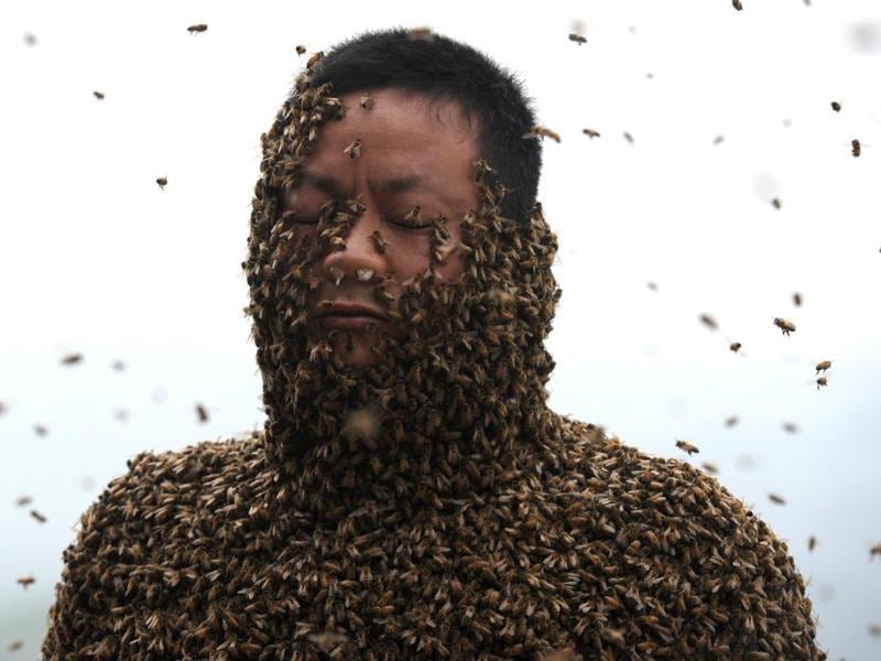 Chinese man covered with 460,000 bees for honey stunt | World News