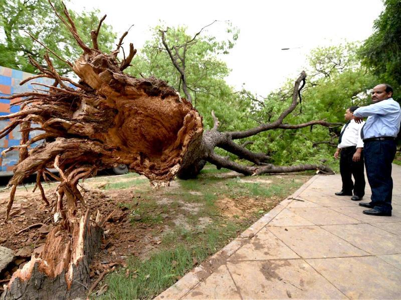 Storm kills more than 40 people in east, north India | Latest News India