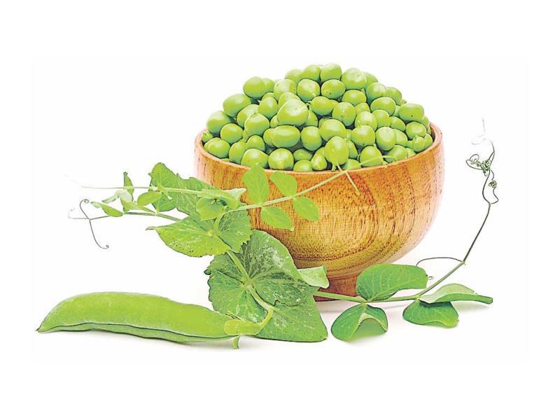 Fun facts: why you must be friends with green peas | Health