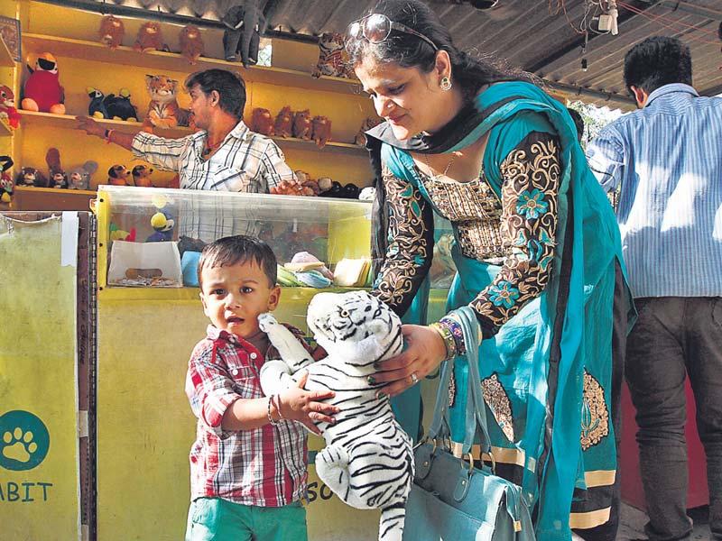 Toy story: Delhi zoo white tiger Vijay becomes must-have for visitors ...