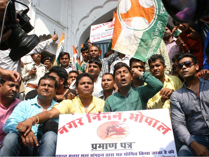 Bhopal: Cong 'rewards' Krishna Gaur with 'dengue mayor' certificate ...