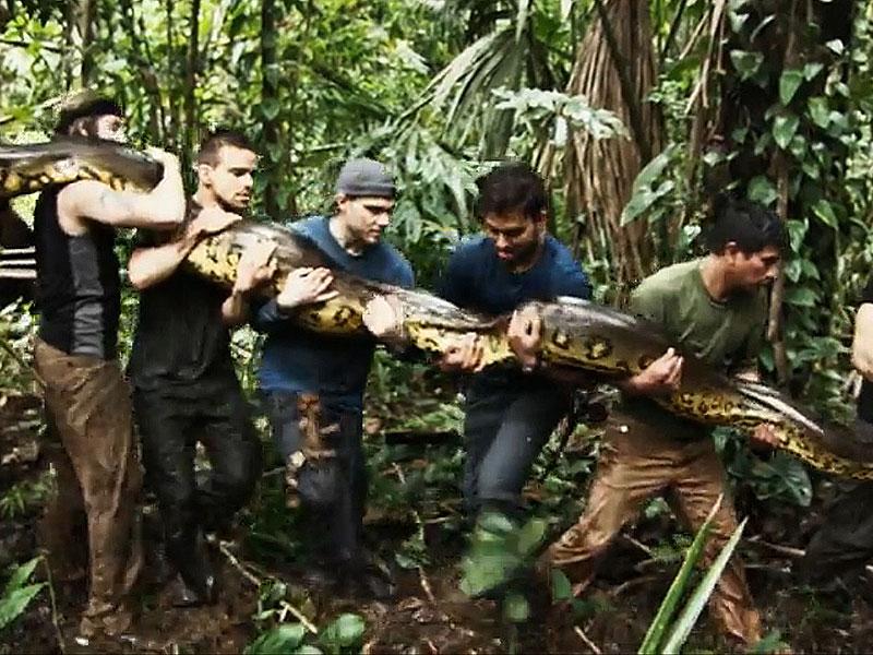 PETA slams Discovery, Eaten Alive star for anaconda stunt - Hindustan Times