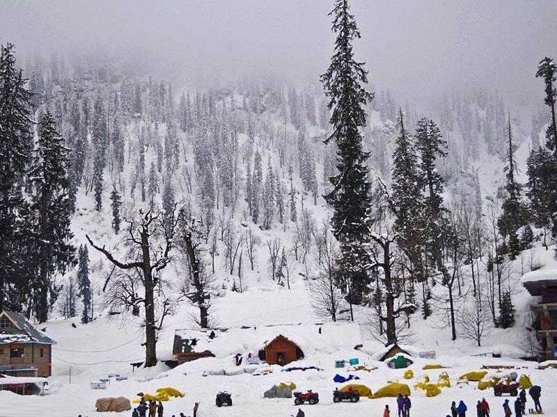 Narkanda: The gateway to apple country | Travel