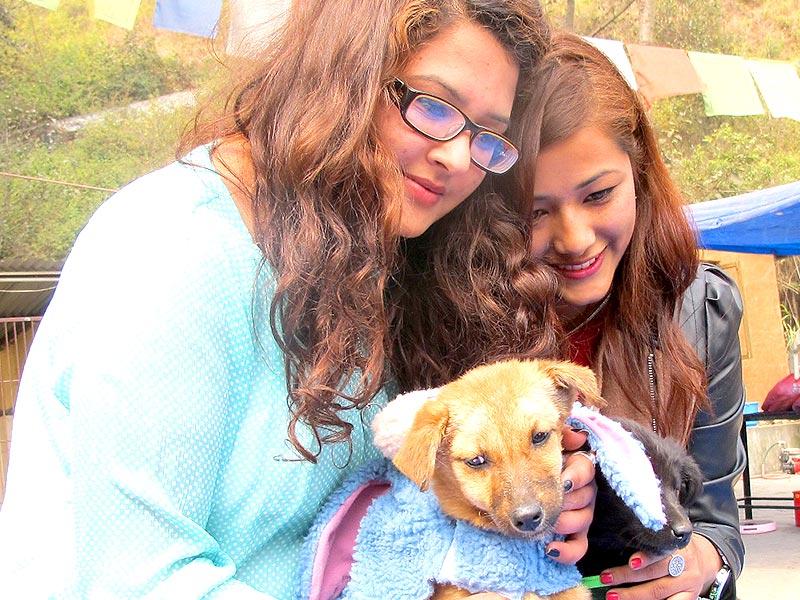 Romancing street dogs on Valentine's Day | World News