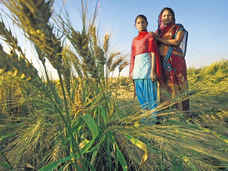 Vidarbha and Marathwada: Trapped in a vicious cycle | Latest News India